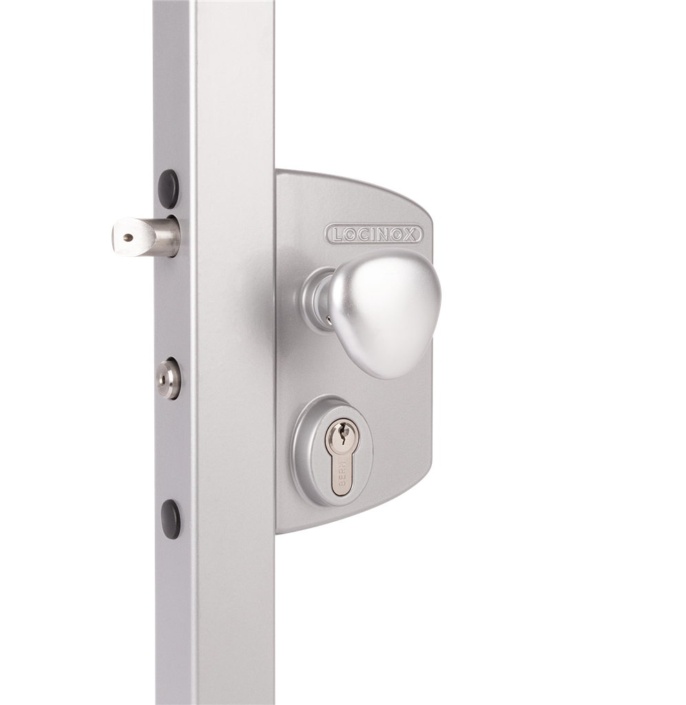 Surface mounted electric gate lock with Fail Open functionality ...